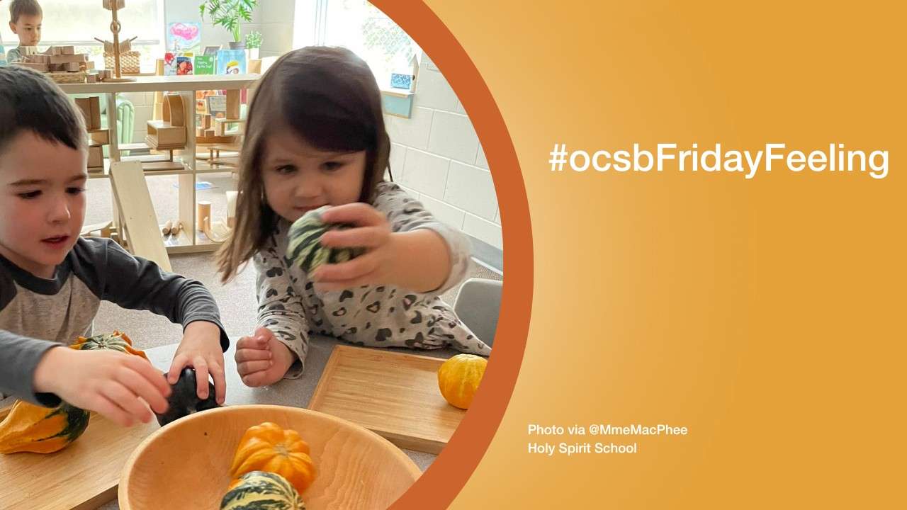 Friday Feeling | Fall, Faith and Fun – The Ottawa Catholic School Board
