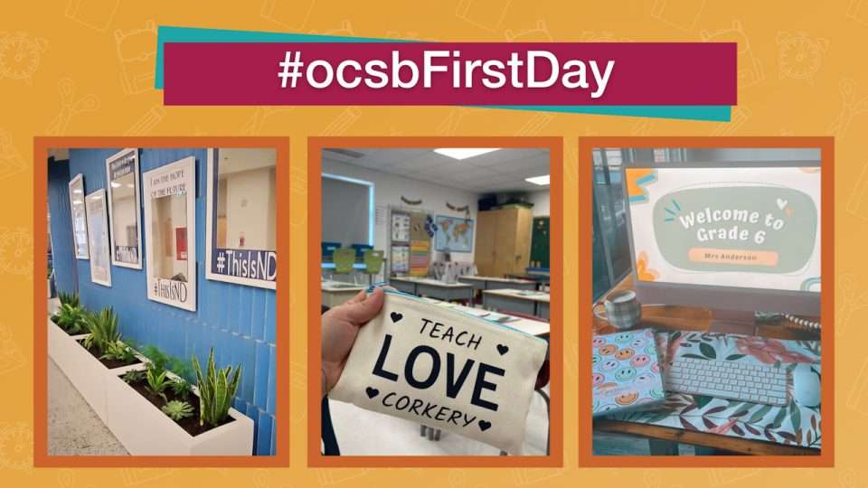 Friday Feeling | It’s the beginning of a Joyful year! – The Ottawa ...