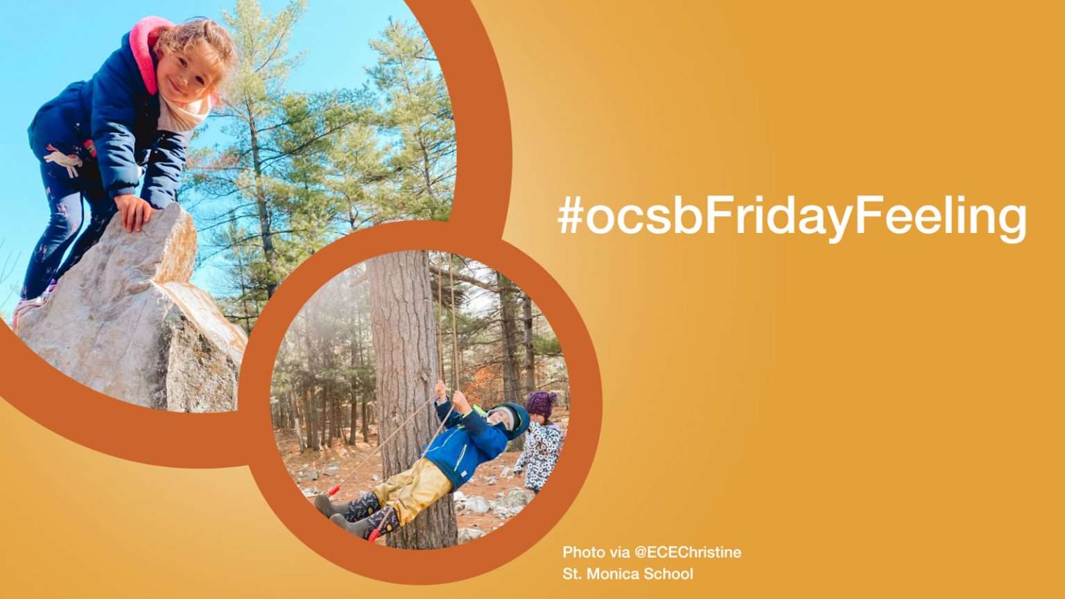 Friday Feeling | Reaching new heights – The Ottawa Catholic School Board