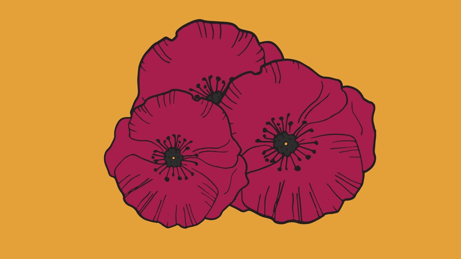 The Poppy Project – Sustainable Poppies One Seed at a Time – The Ottawa ...