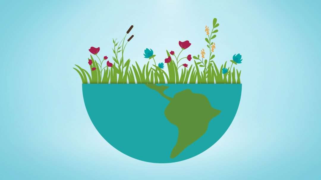 Celebrating Earth Month 2023 at the OCSB! – The Ottawa Catholic School ...