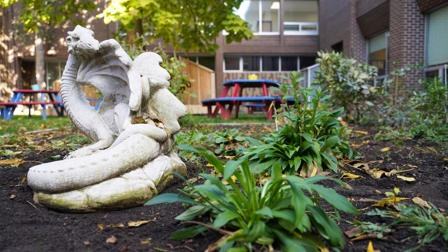 St George’s Dragon Meadow is So Much More Than a Garden – The Ottawa ...