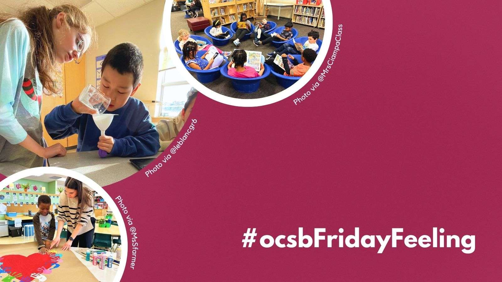 Friday Feeling | Nature, Love and Learning – The Ottawa Catholic School ...