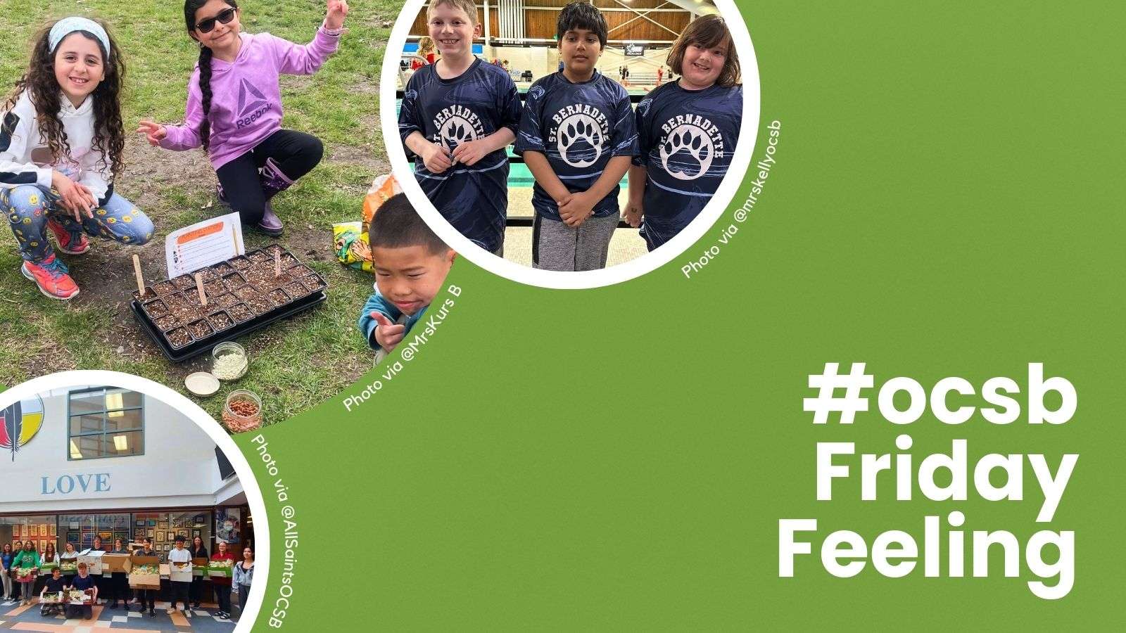 Friday Feeling | Seeds and sandbox fun – The Ottawa Catholic School Board